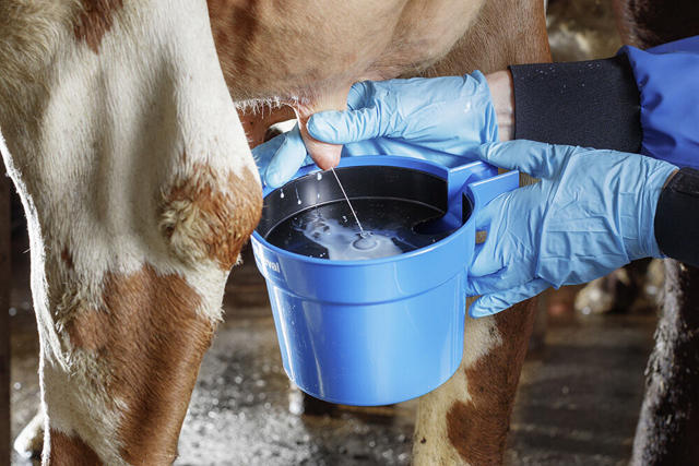 DeLaval blue strip cup - DeLaval