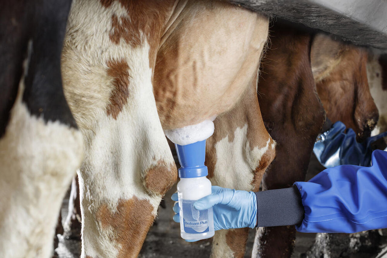 Biofoam Plus - DeLaval