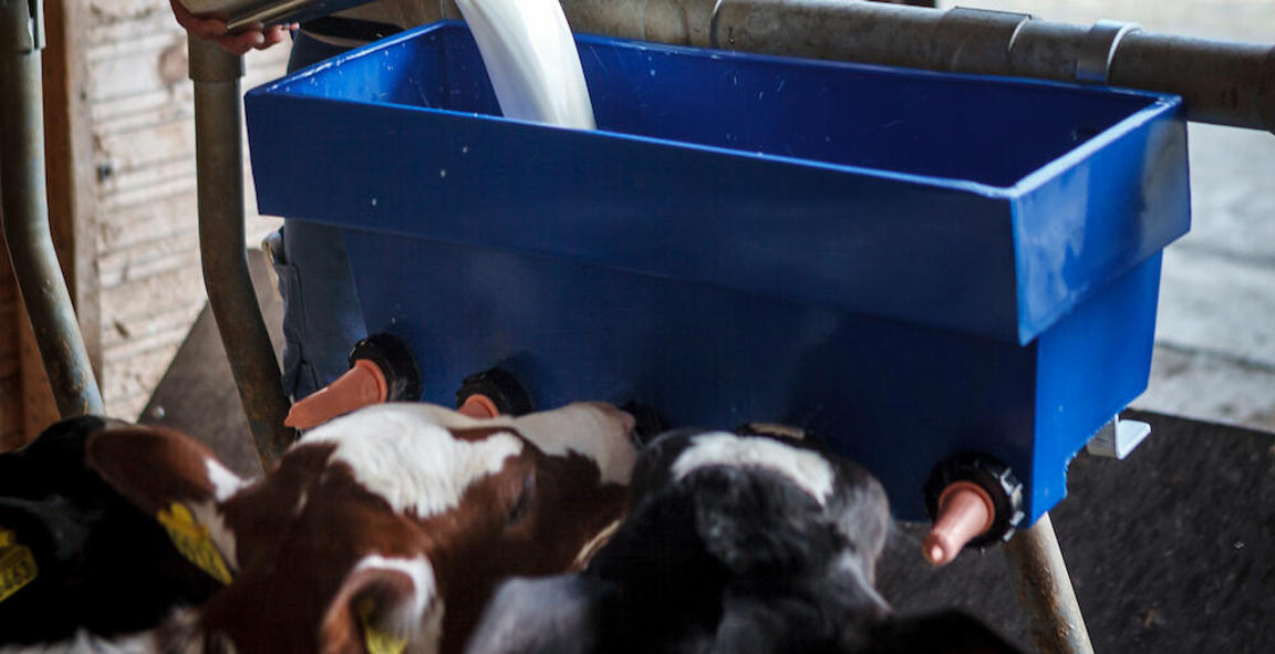 Cow comfort - DeLaval