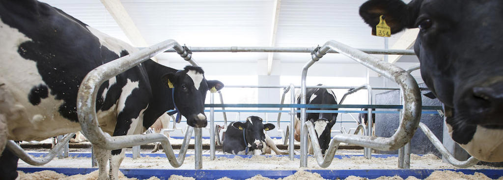 Catalog - DeLaval
