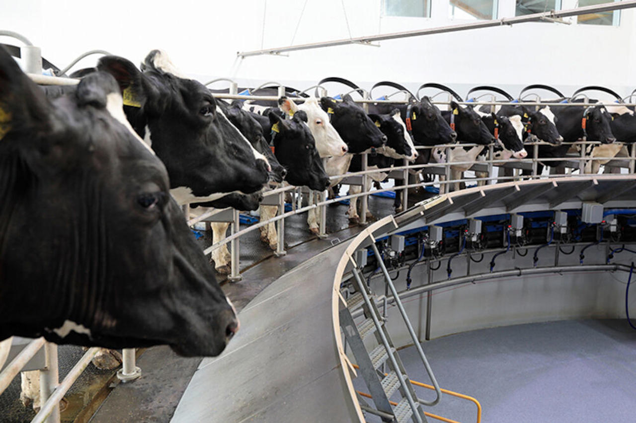 DeLaval Rotary E300 - DeLaval