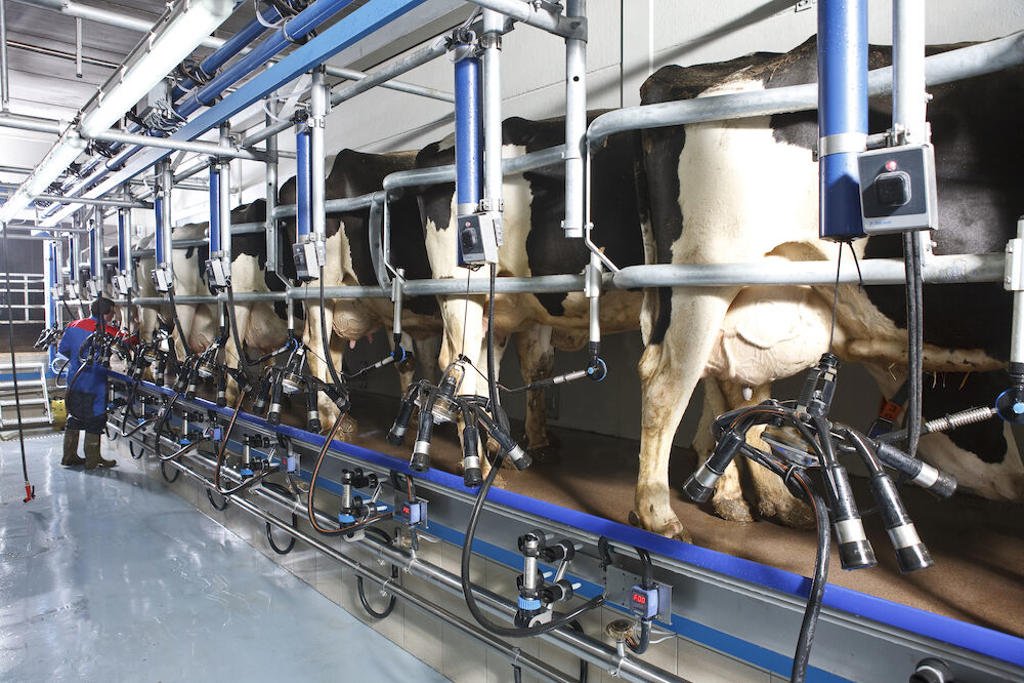 DeLaval herringbone parlor HB30 - DeLaval