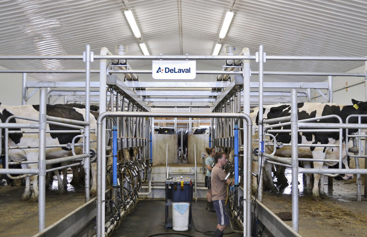 DeLaval herringbone parlor HB50 - DeLaval