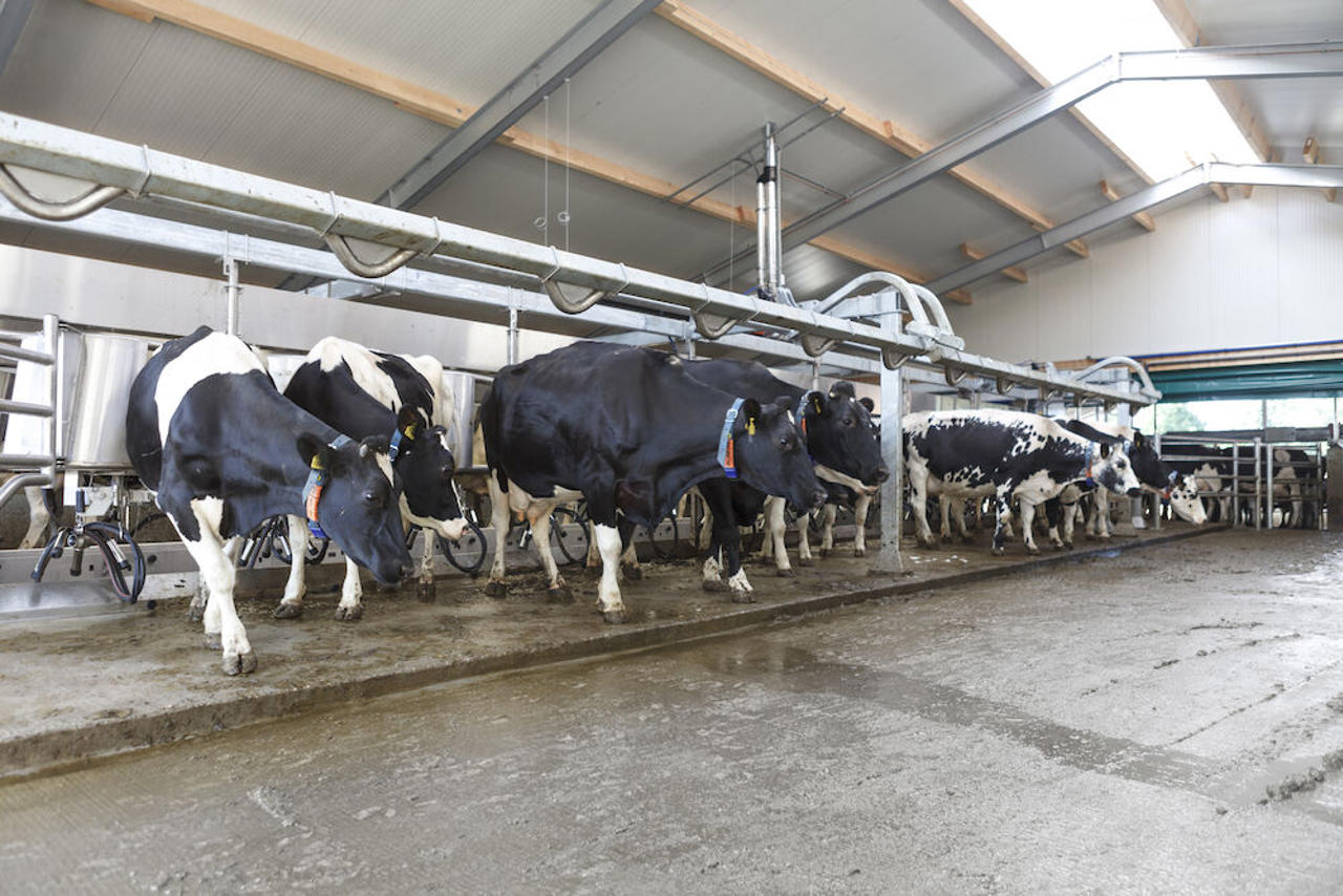 DeLaval Herringbone HDHB - DeLaval