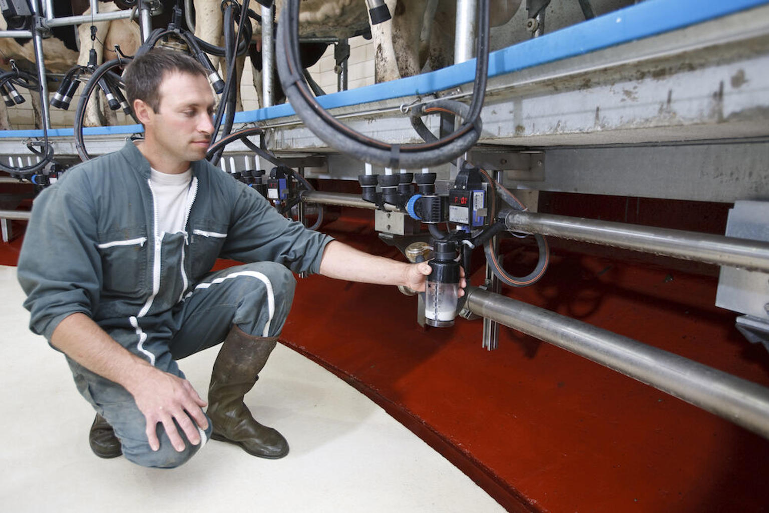 Au poste de traite - DeLaval