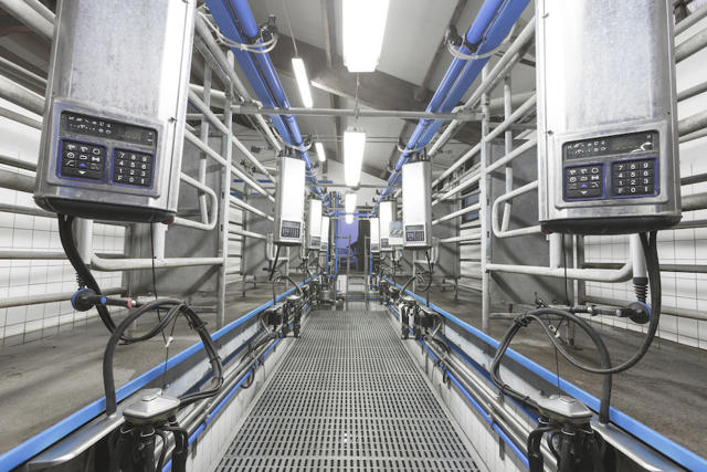 DeLaval tandem stall - DeLaval